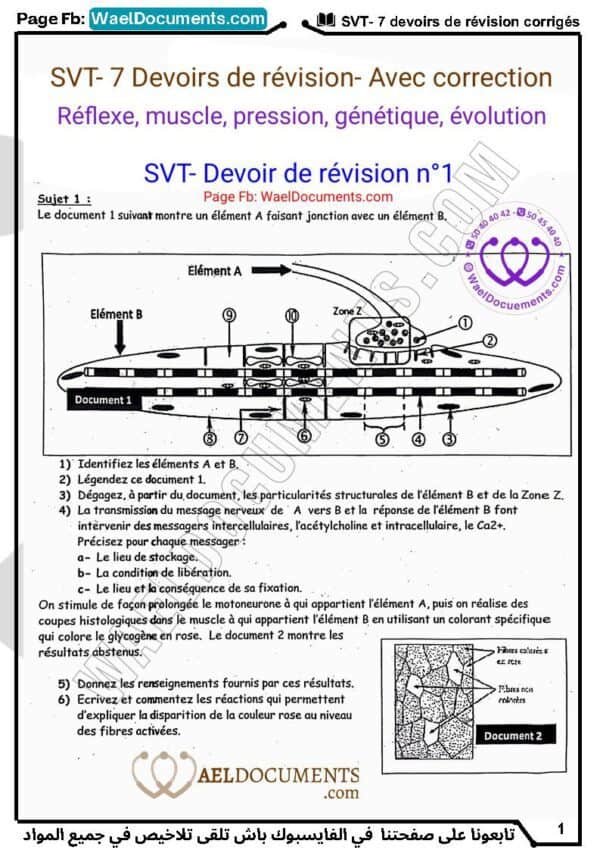 SVT - 7 devoirs de révision - Avec correction - WaelDocuments