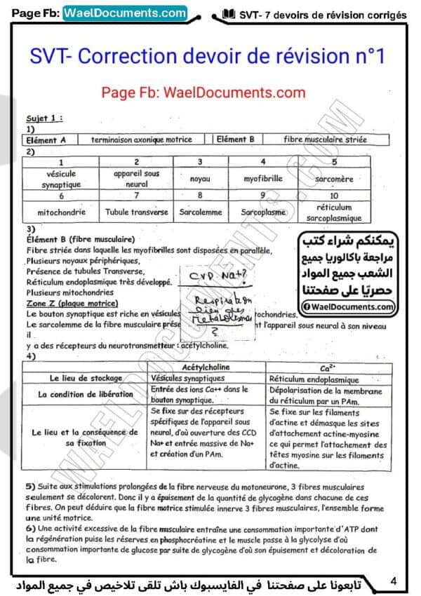 SVT - 7 devoirs de révision - Avec correction - WaelDocuments